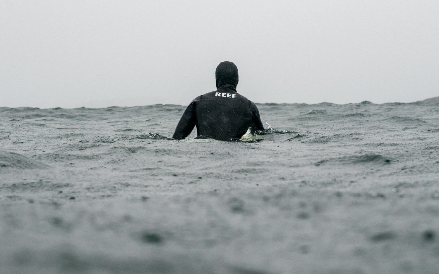 Une rencontre de grands esprits, par Reef Canada – OuiSurf